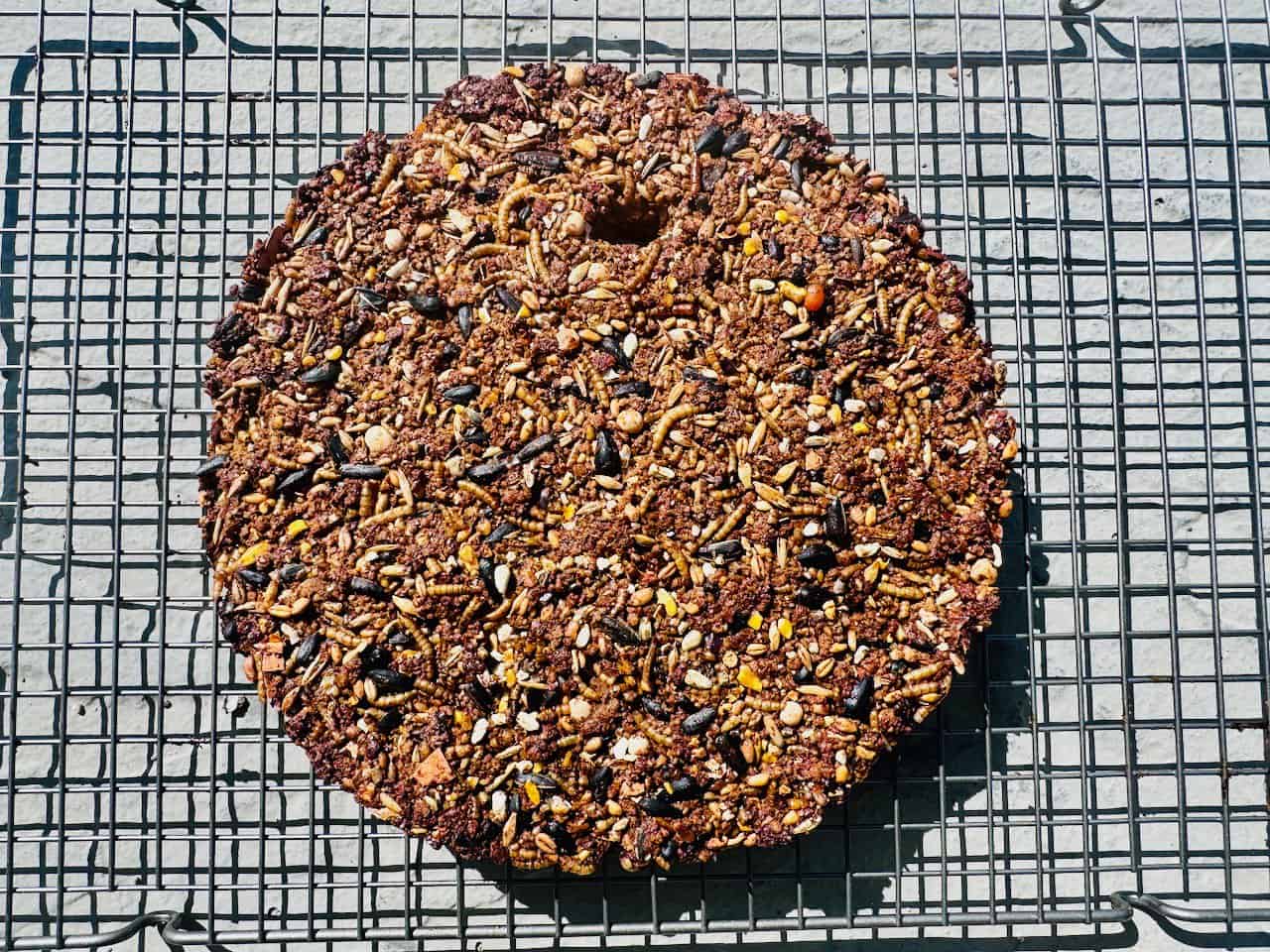 Homemade Flock Block for Chickens