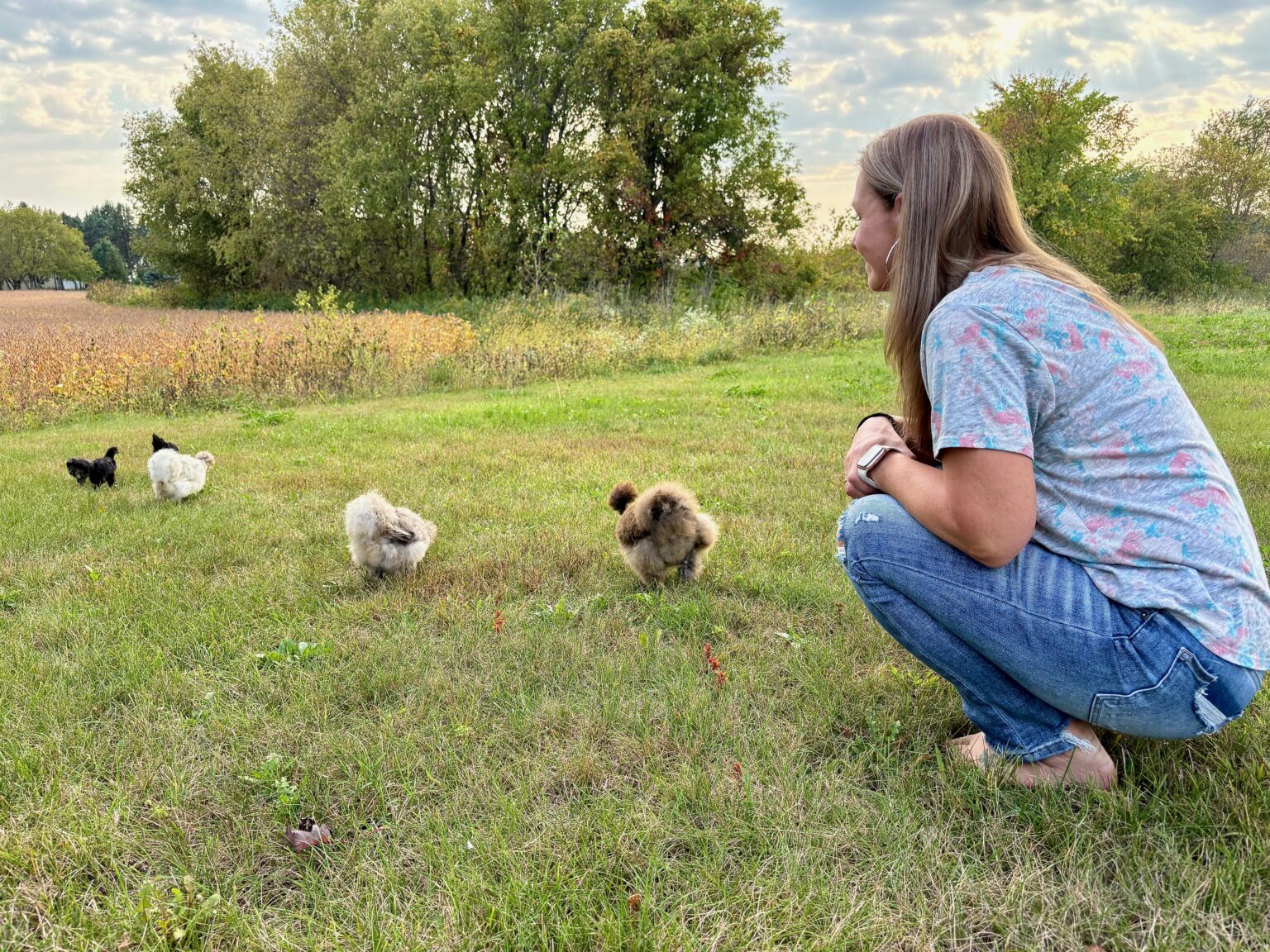 16 Ways to Keep Chickens from Leaving Your Yard