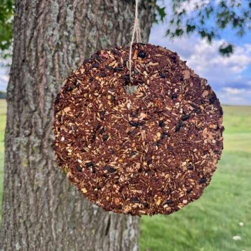 Homemade Flock Block for Chickens