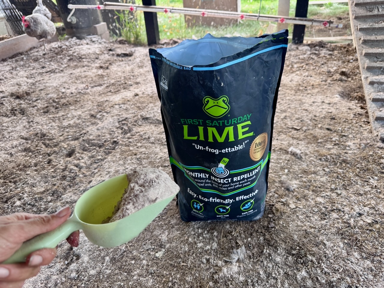 How to Use First Saturday Lime for Chickens - City Life to Farm Life