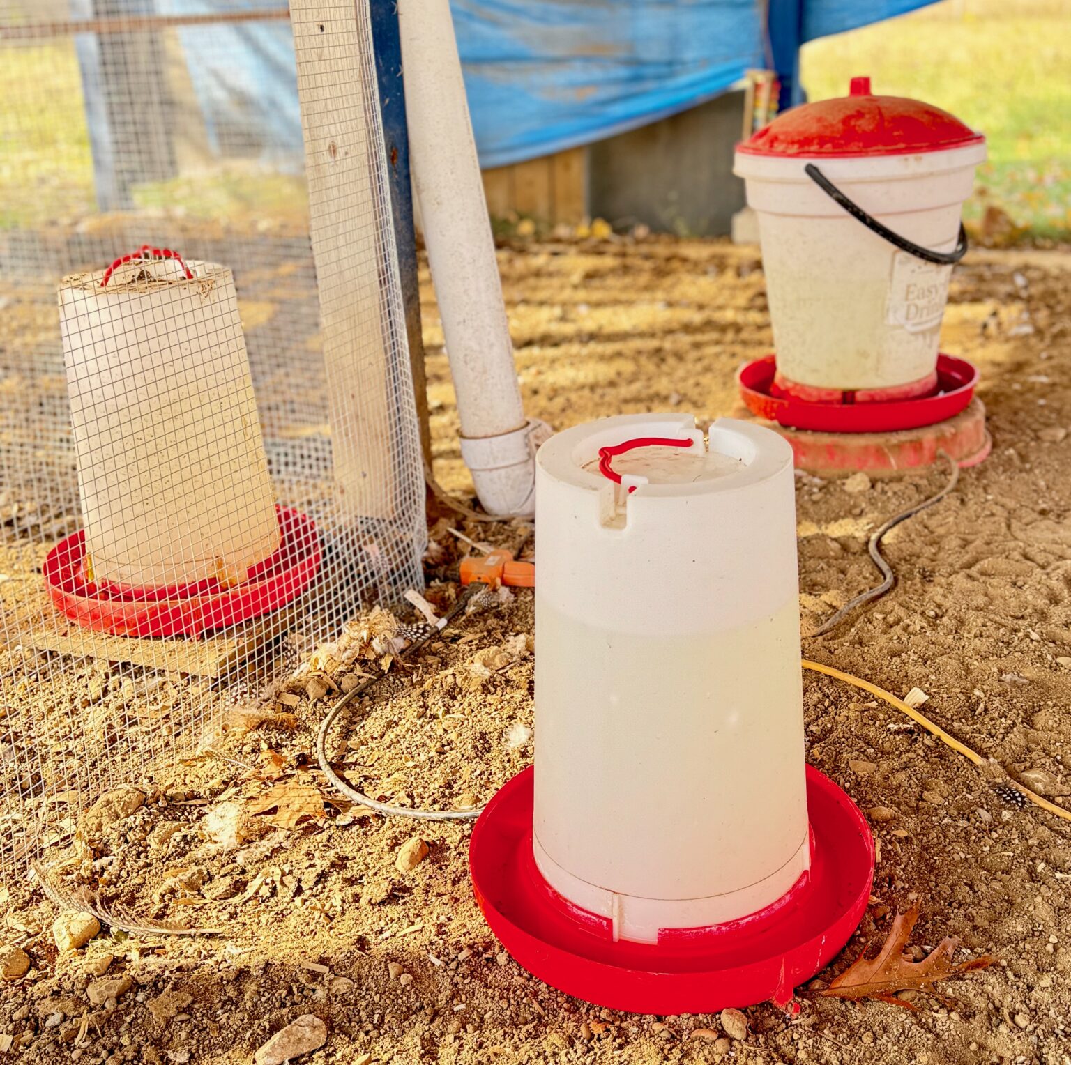 How to Winterize Your Chicken Coop and Run