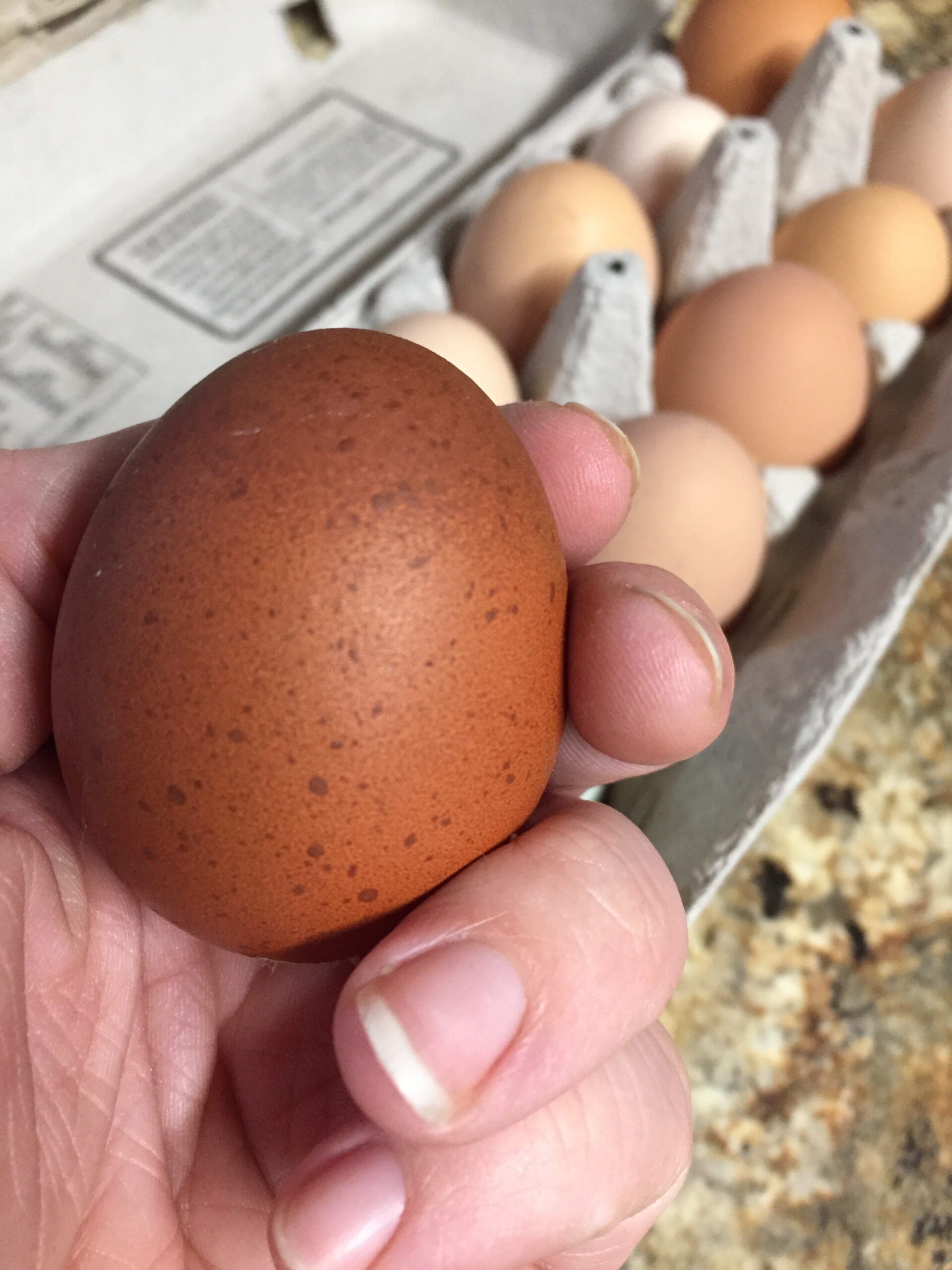 Do Chickens Have Periods? Unpacking Egg-Laying - City Life to Farm Life